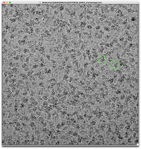 Relion-4.0 beta测试结果 – Single Particle SP中国