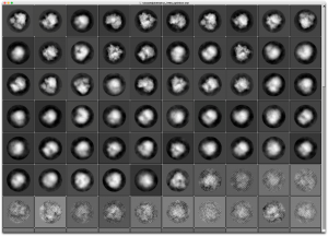 Relion-4.0 beta测试结果 – Single Particle SP中国