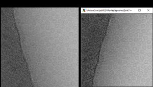 CryoSPARC转RELION进阶流程3 – Single Particle SP中国