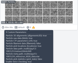 CryoSPARC转RELION进阶流程4 – Single Particle SP中国