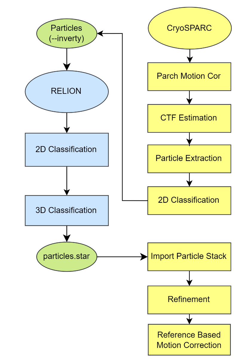 CryoSPARC转RELION进阶流程4 – Single Particle SP中国