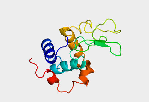 分子模拟计算处理系统 – Single Particle SP中国